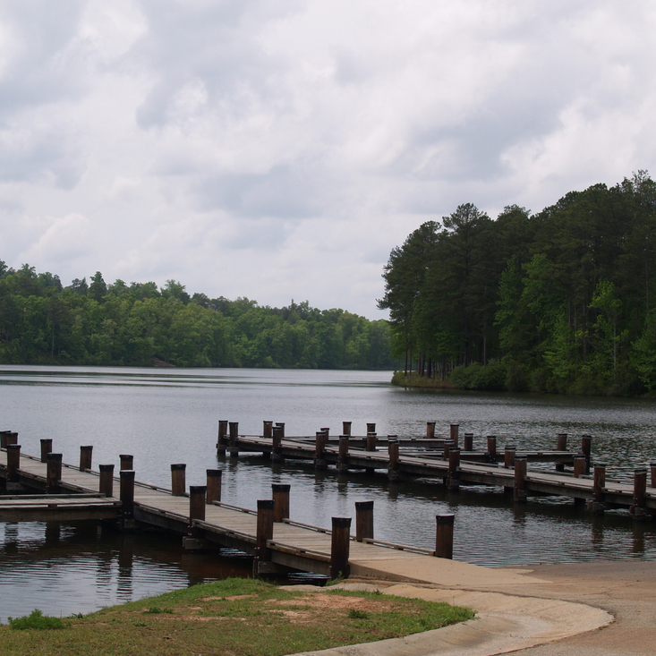 Turtle Tours in Peachtree City | Things To Do | PTC People